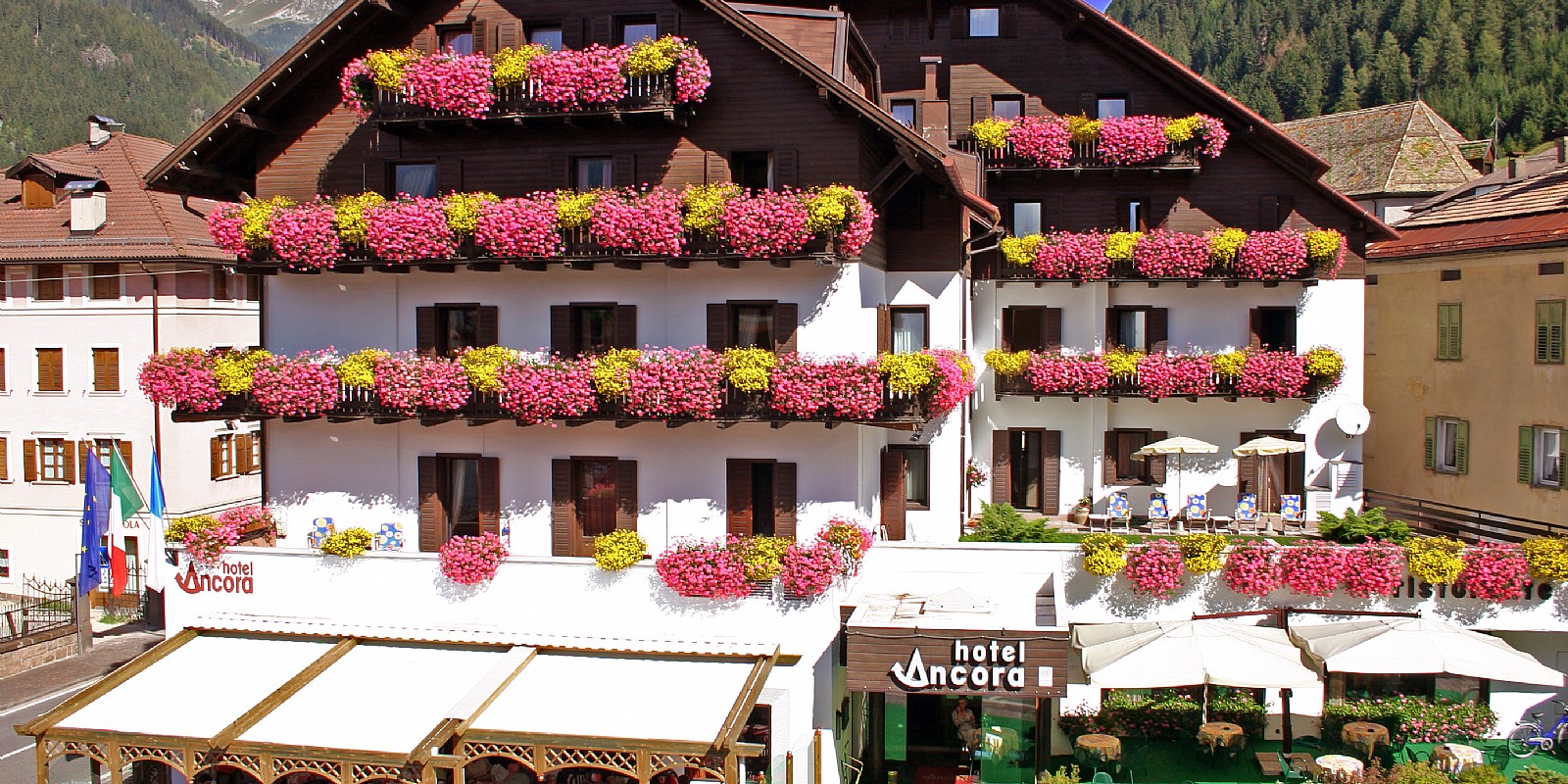 Home page [www.ancora.it]